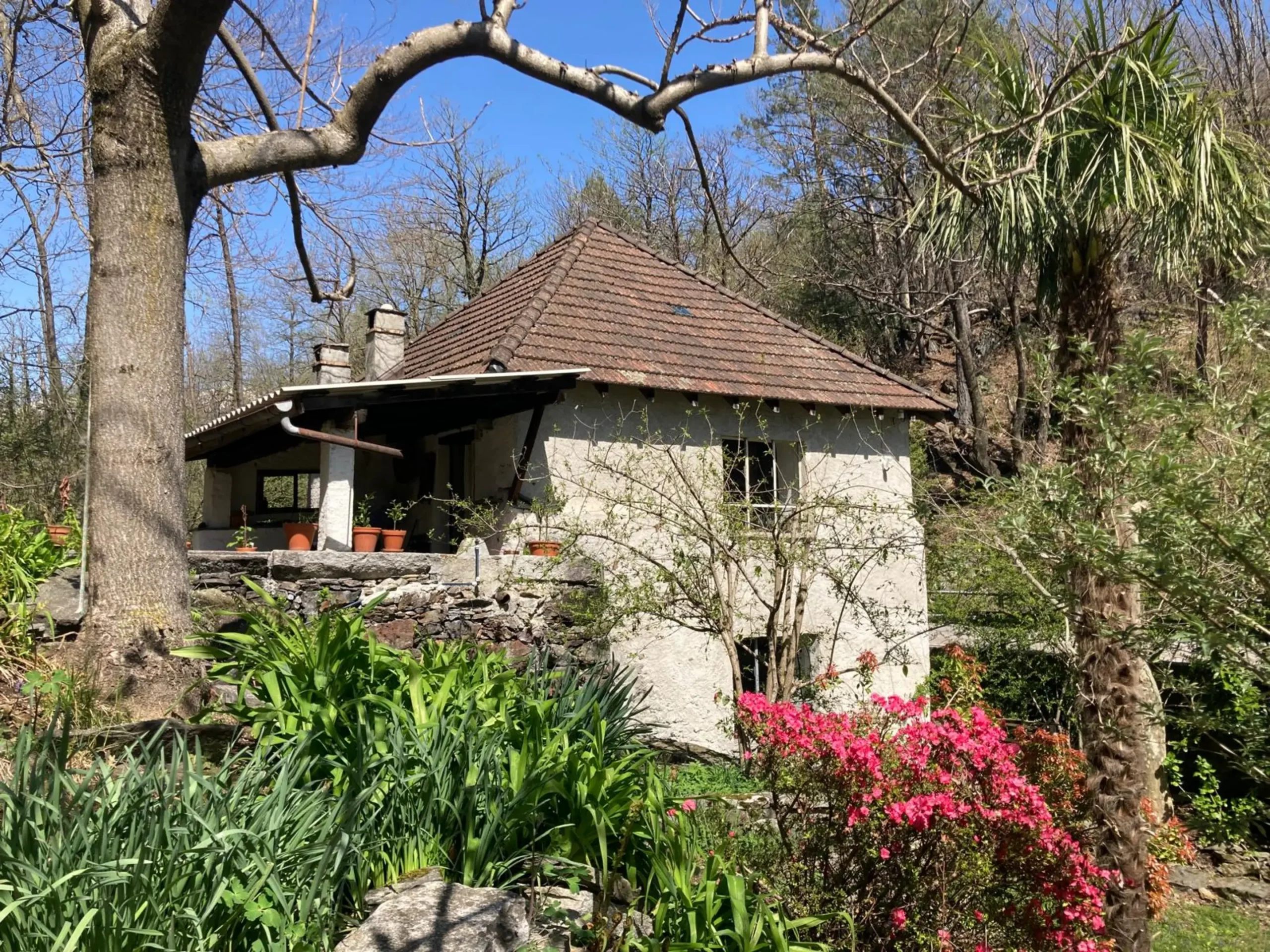 Visite guidate speciali – Storia, vita e personaggi del Mulin dal Brüm ...